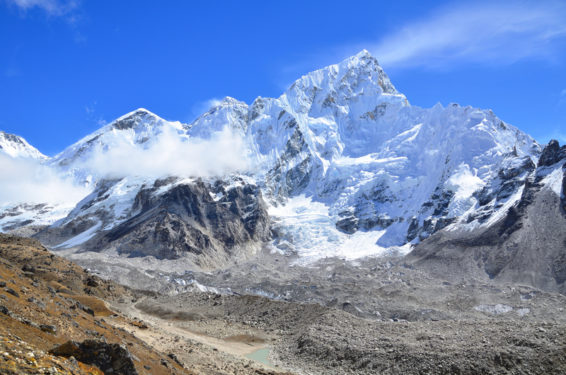The 15 Most Amazing Virtual Field Trips - Early Childhood Education ...